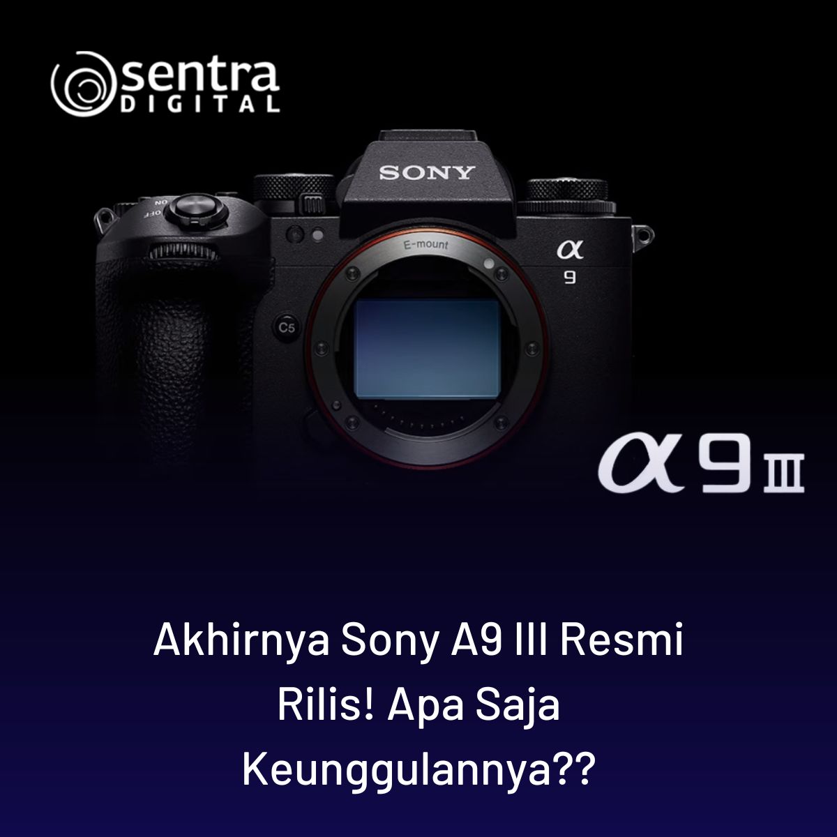 Sony A9 Flash Settings at Marc House blog